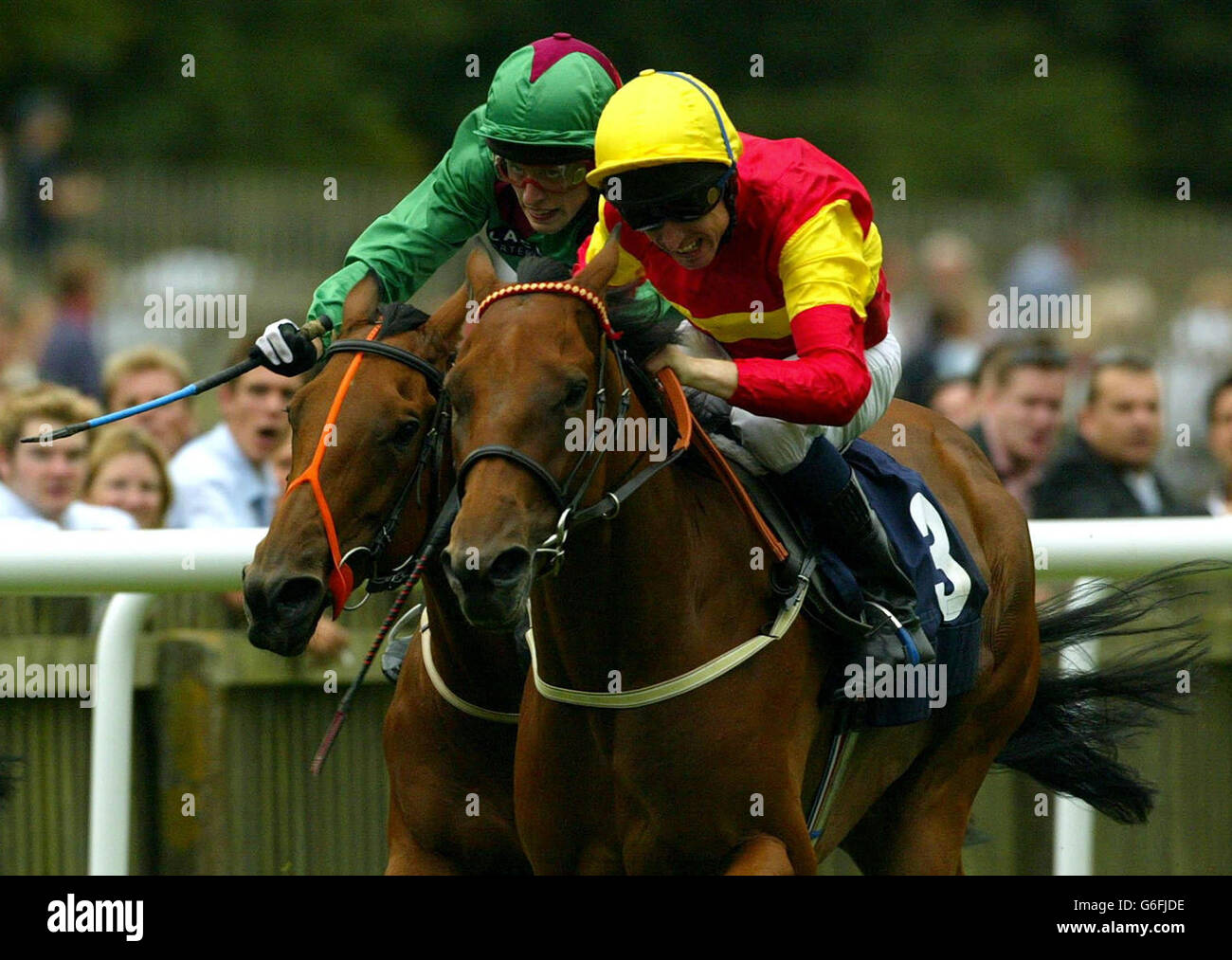 Second race newmarket racecourse newmarket racecourse hi-res stock ...