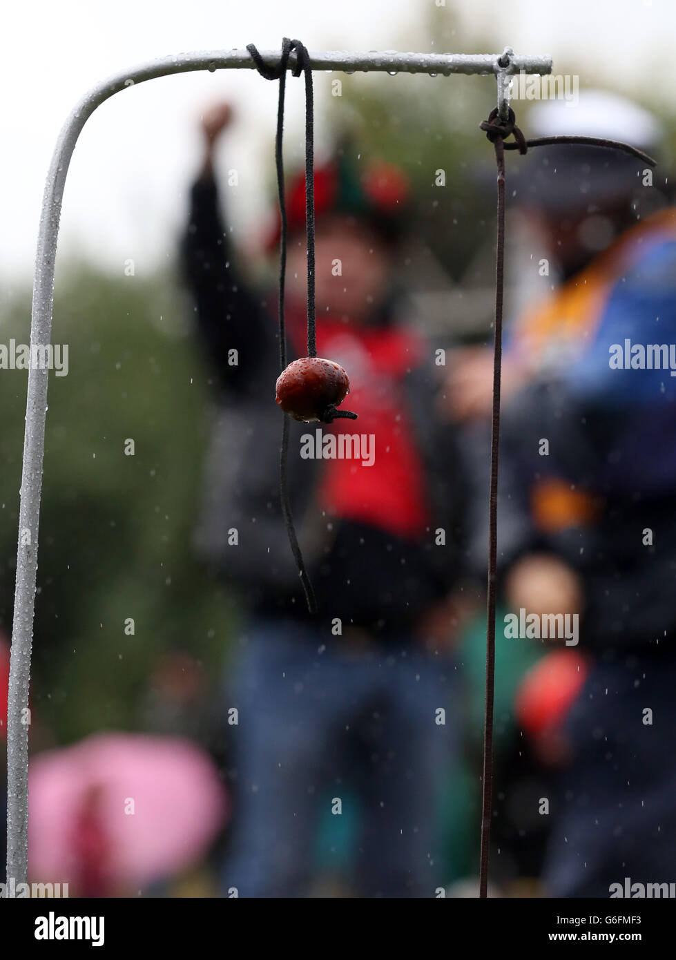 World Conker Championships Stock Photo - Alamy