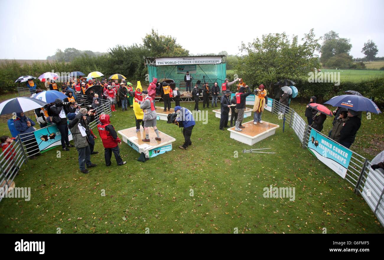 World Conker Championships Stock Photo - Alamy