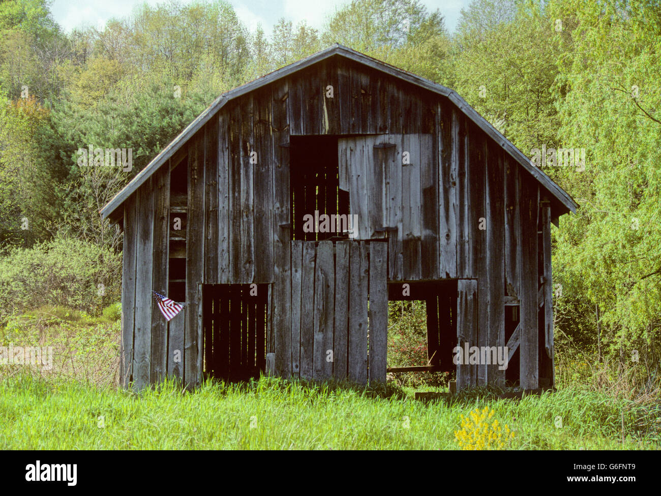 A primitive roadside barn in North Carolina, USA features a small ...