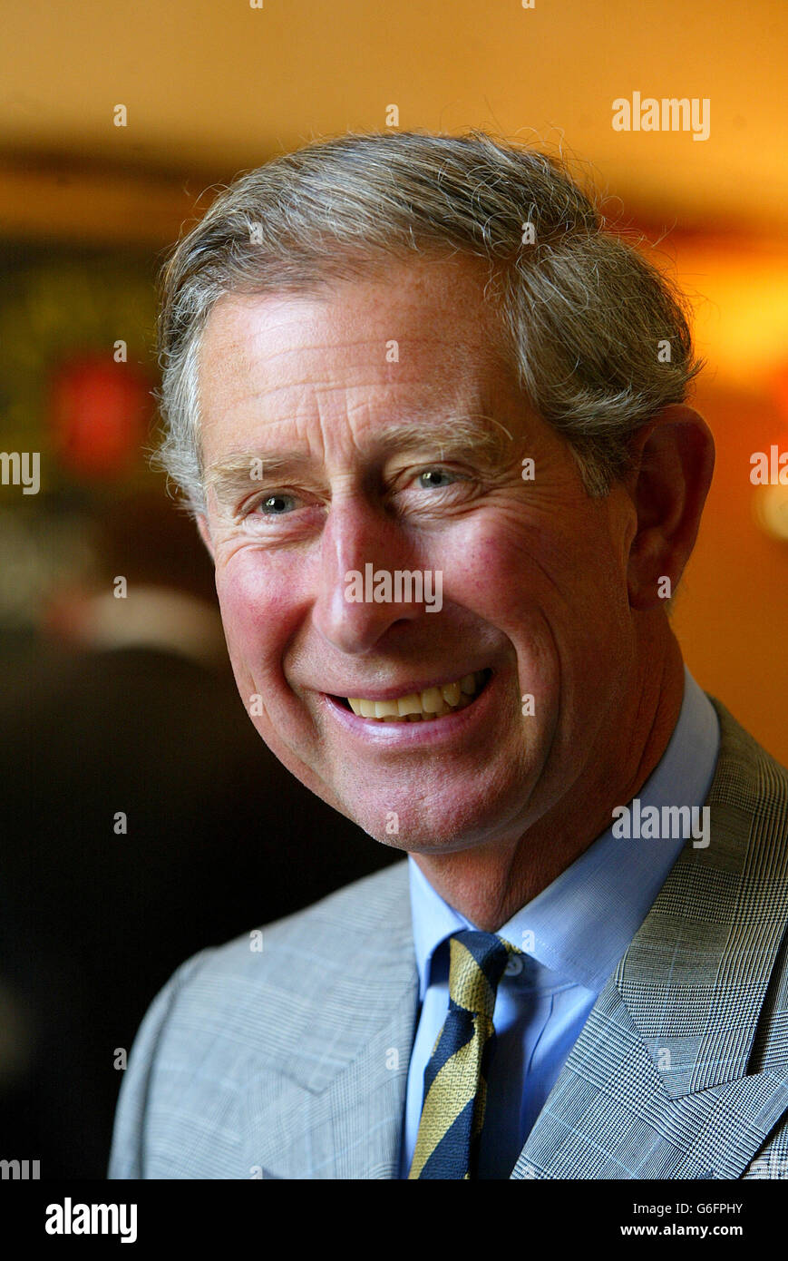 Royal head shoulders smiling prince charles prince of wales hi-res ...