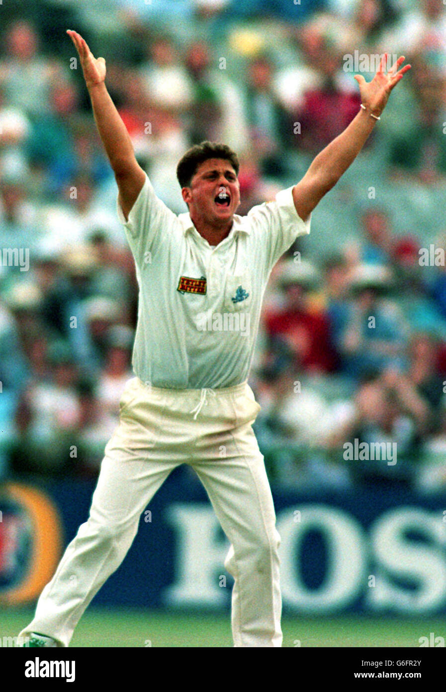 Darren Gough celebrates Stock Photo - Alamy