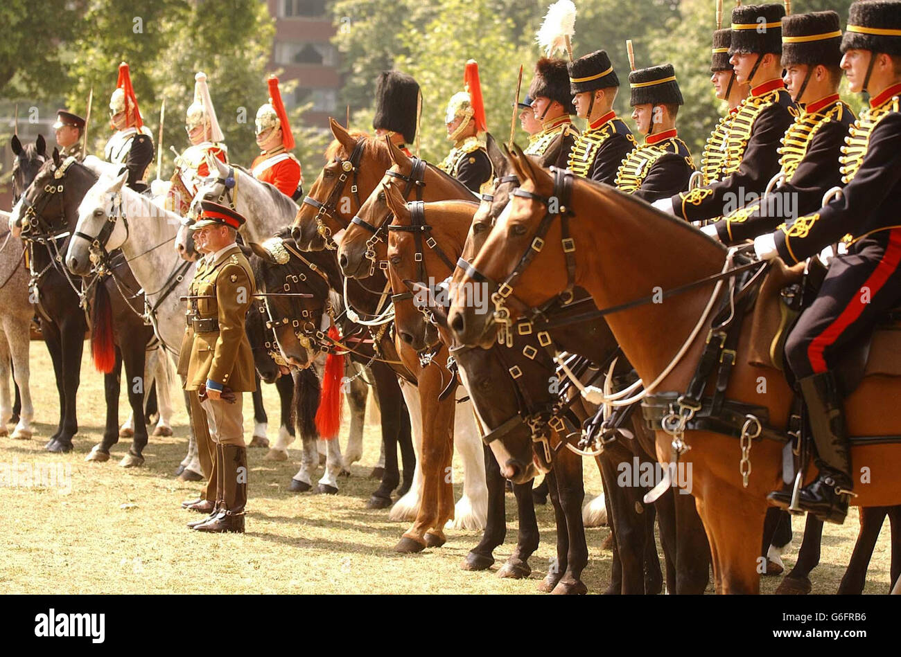 Army horses on parade Stock Photo - Alamy