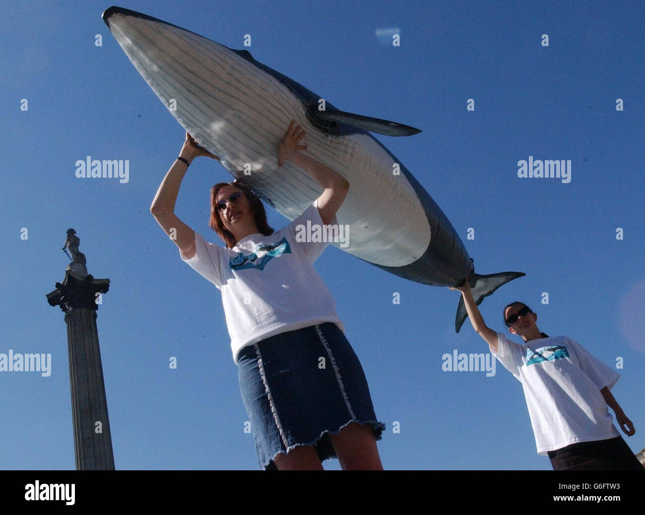 Iceland protest whale hi-res stock photography and images - Alamy