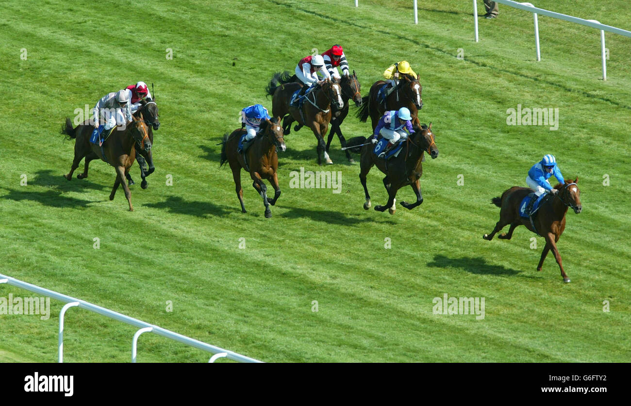 Stan James Online Stakes Stock Photo - Alamy