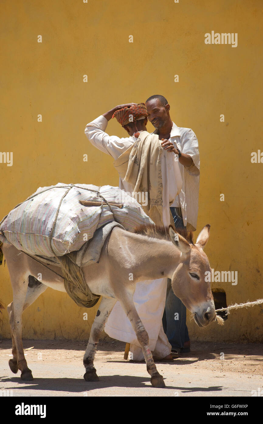 Harari hi-res stock photography and images - Alamy