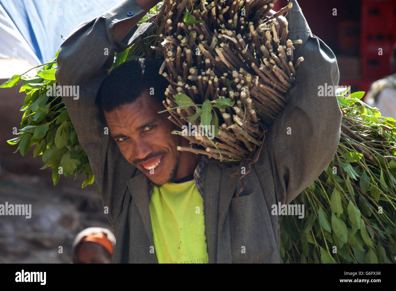 Ethiopian man carying large bundle of fresh khat for market. Khat ...
