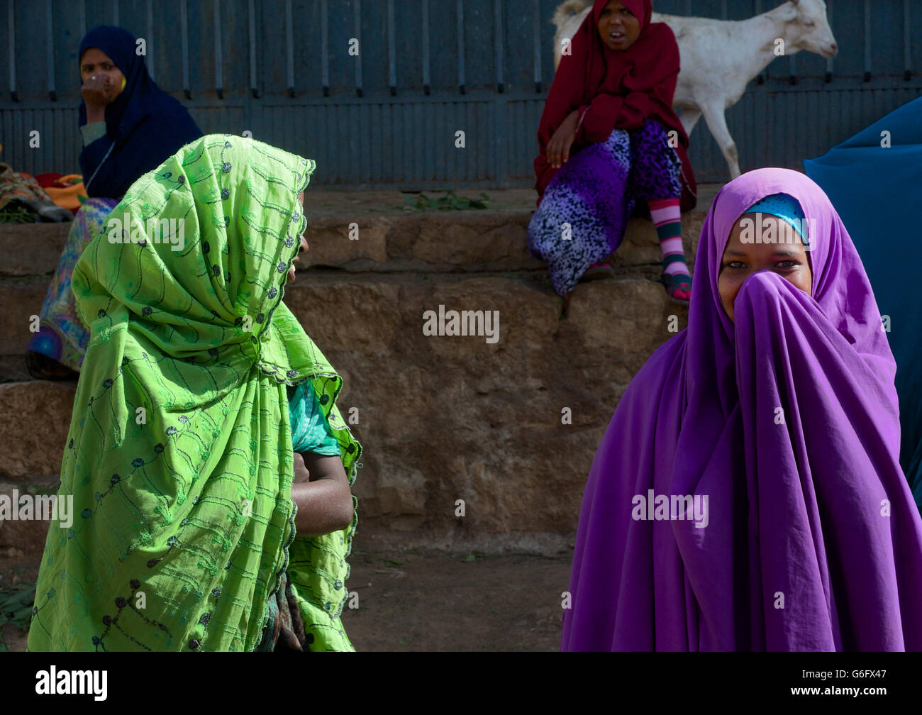 Harari Women High Resolution Stock Photography and Images - Alamy