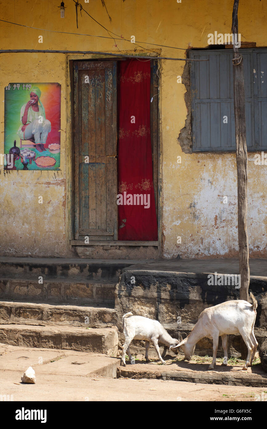 Kulubi hi-res stock photography and images - Alamy