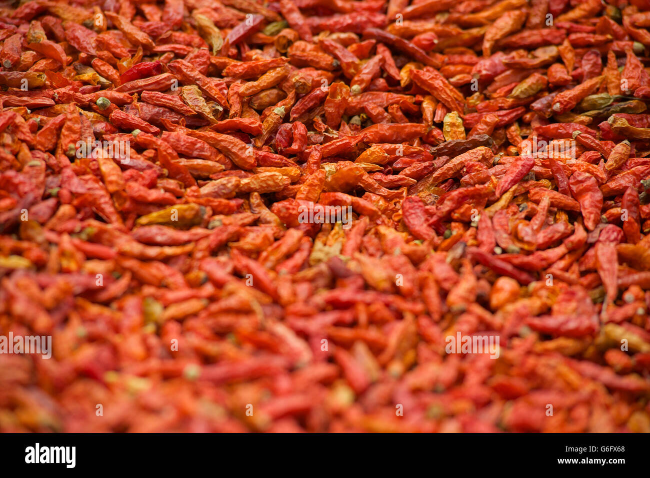 African chilli hi-res stock photography and images - Alamy