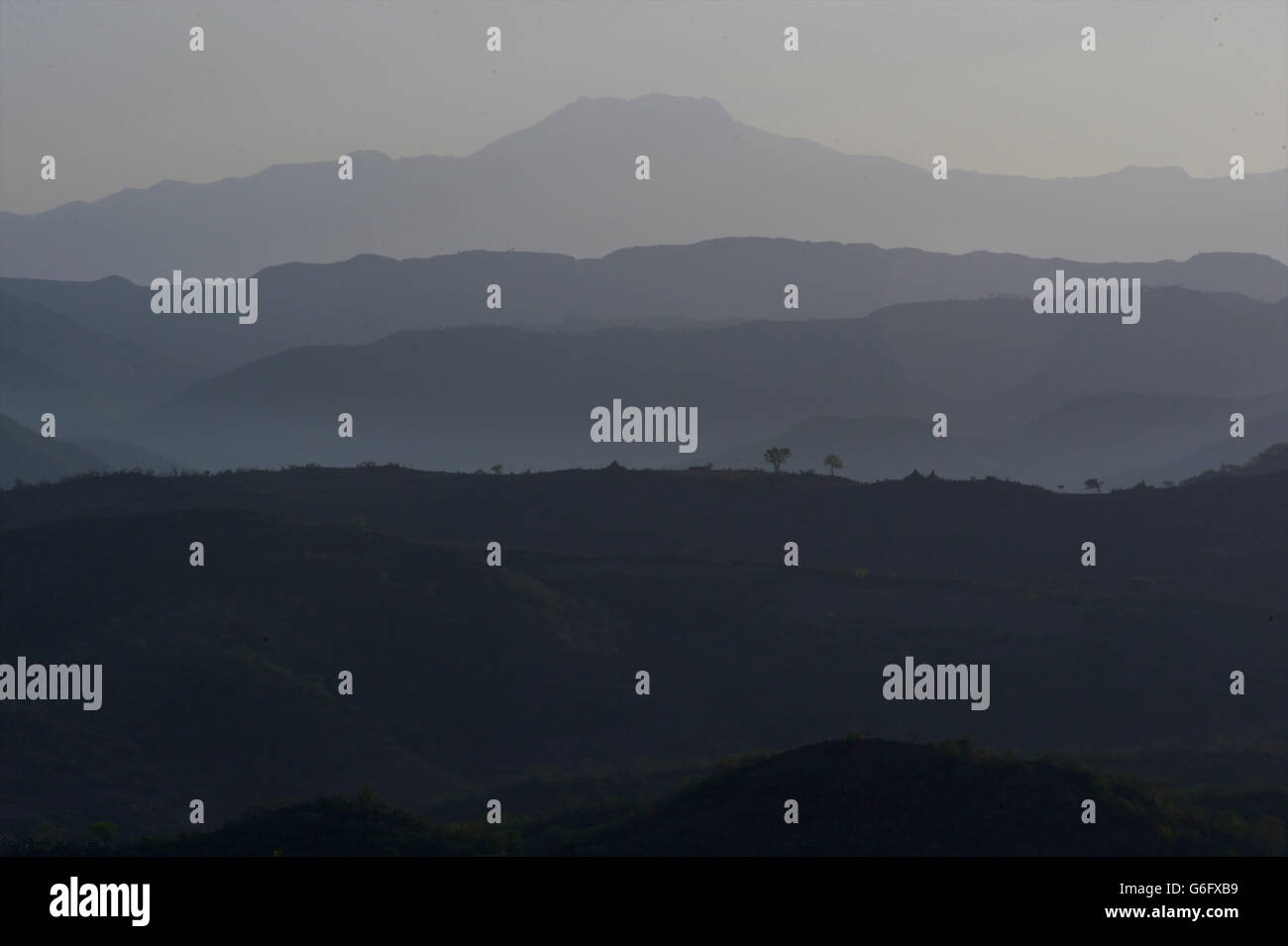 Weldiya hi-res stock photography and images - Alamy