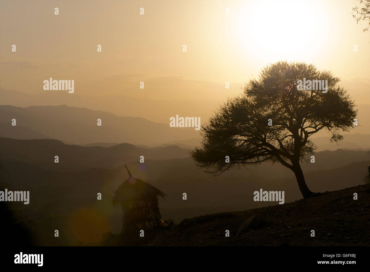 Weldiya hi-res stock photography and images - Alamy