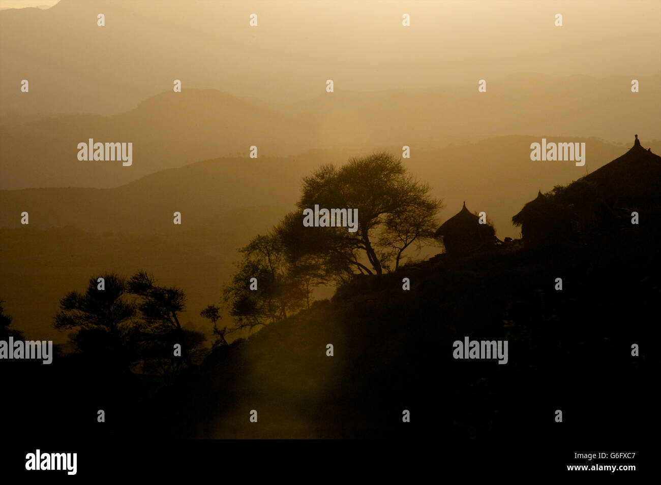 Weldiya hi-res stock photography and images - Alamy