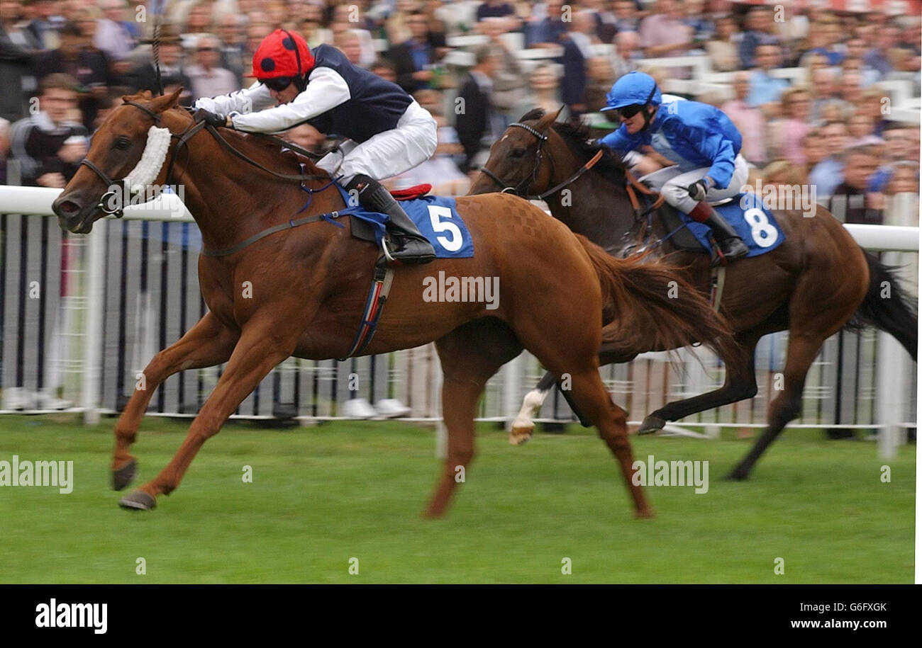 Epsom Chris Catlin on Corridor Creeper Stock Photo - Alamy