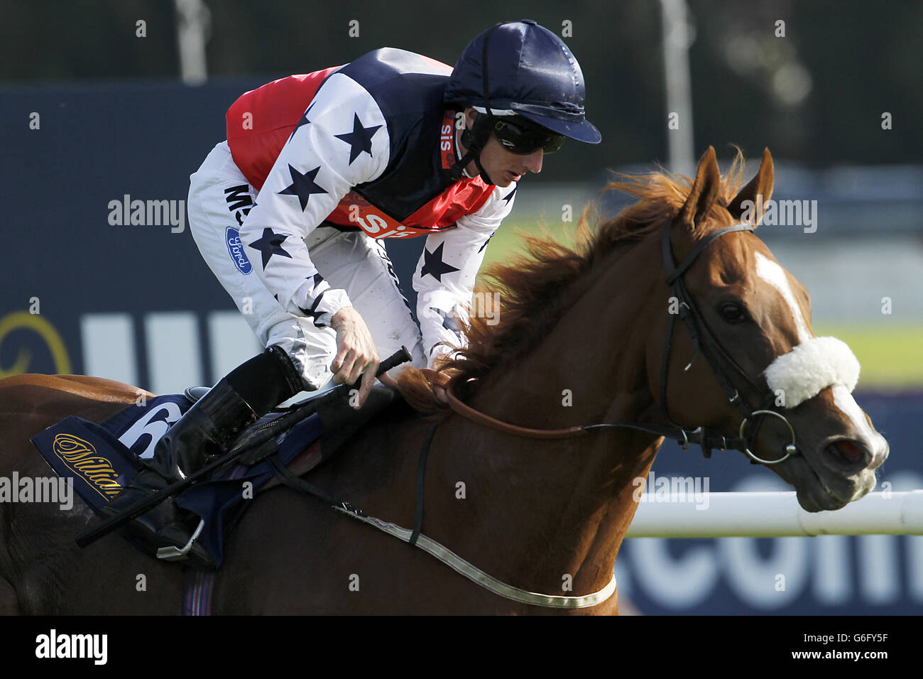 Farlow horse hi-res stock photography and images - Alamy