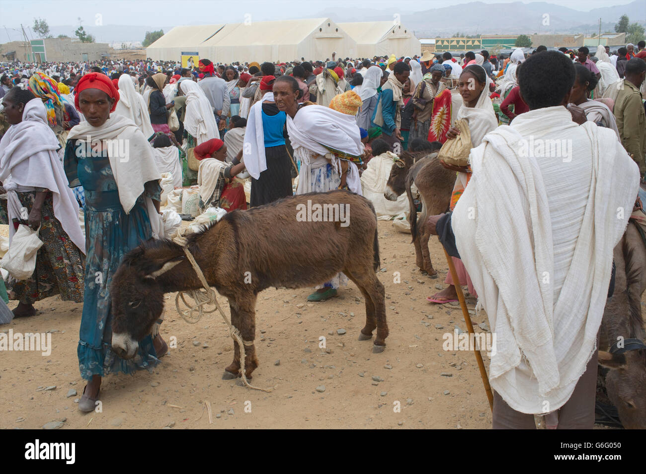 Busy market day at Freweyni also known as Sinkata. Tigray, Misraqawi ...