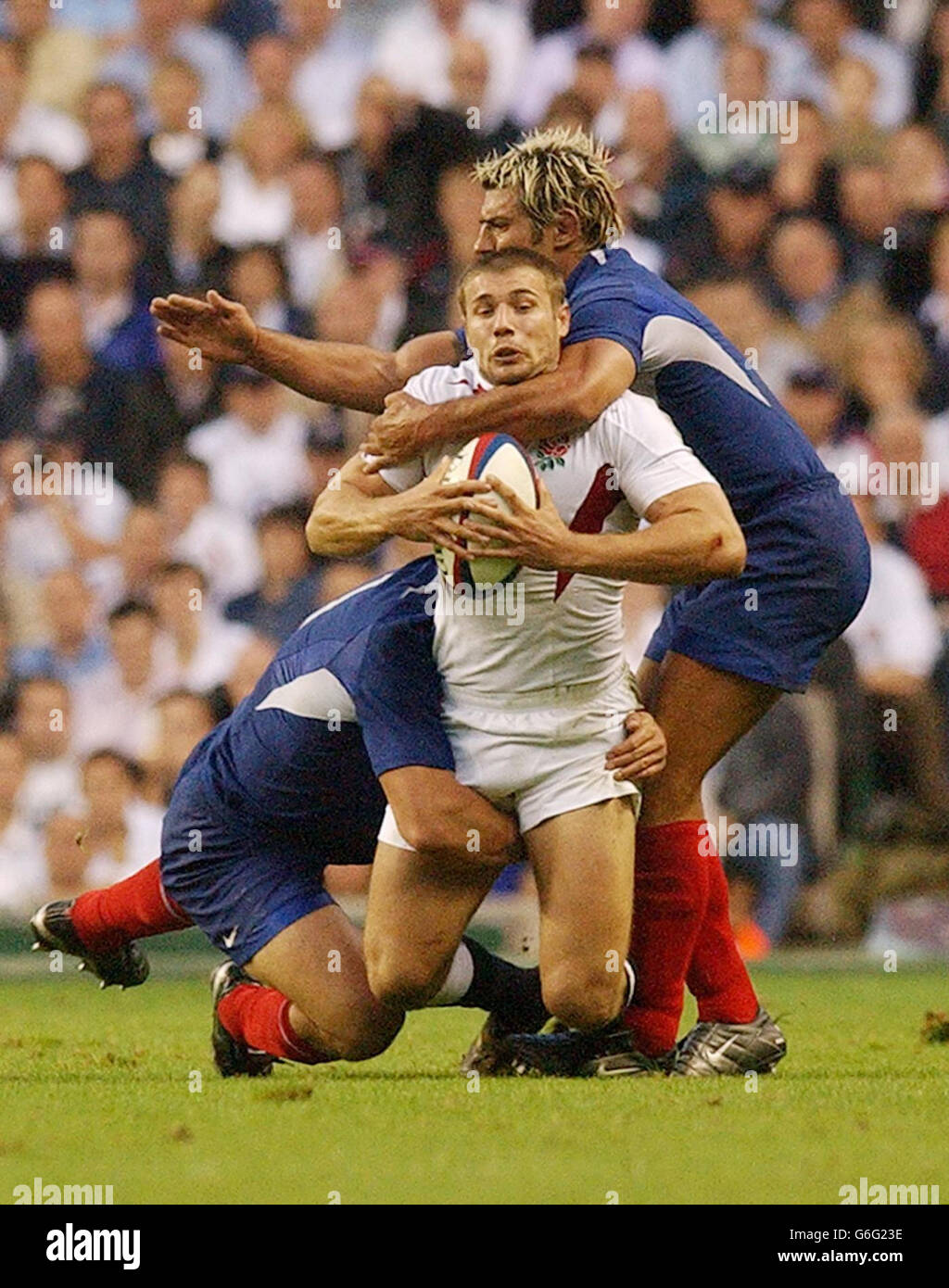 Frances cohen hi-res stock photography and images - Alamy