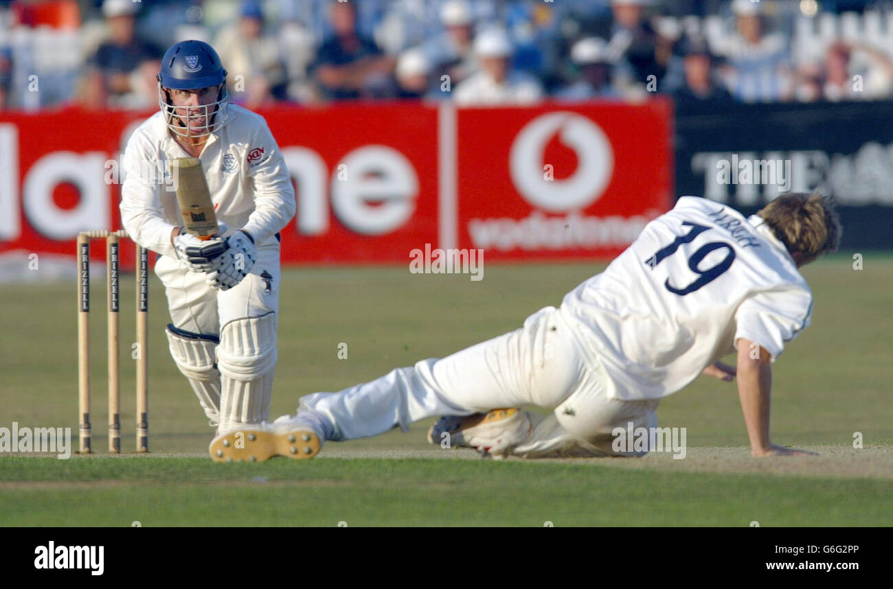 Sport cricket action murray goodwin luke wright hi-res stock ...