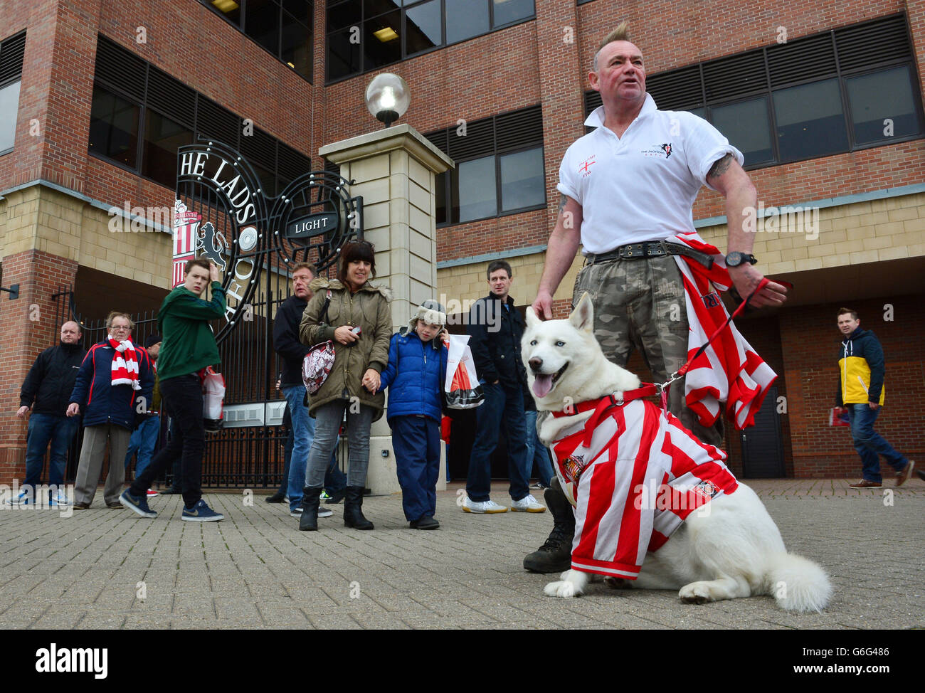 A dog dressed in a Sunderland jersey before the Barclays Premier League ...