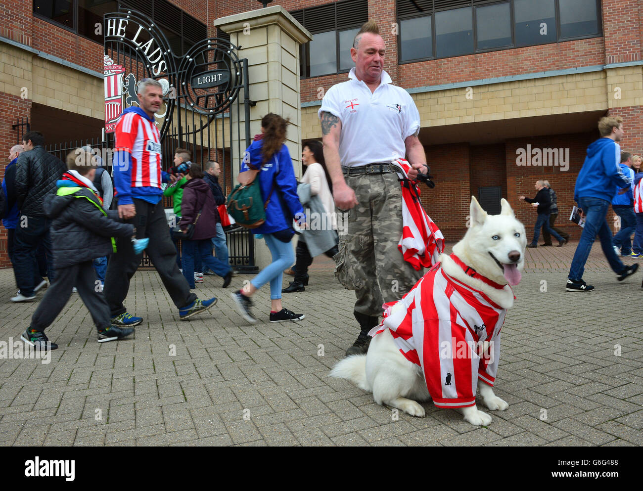A dog dressed in a Sunderland jersey before the Barclays Premier League ...
