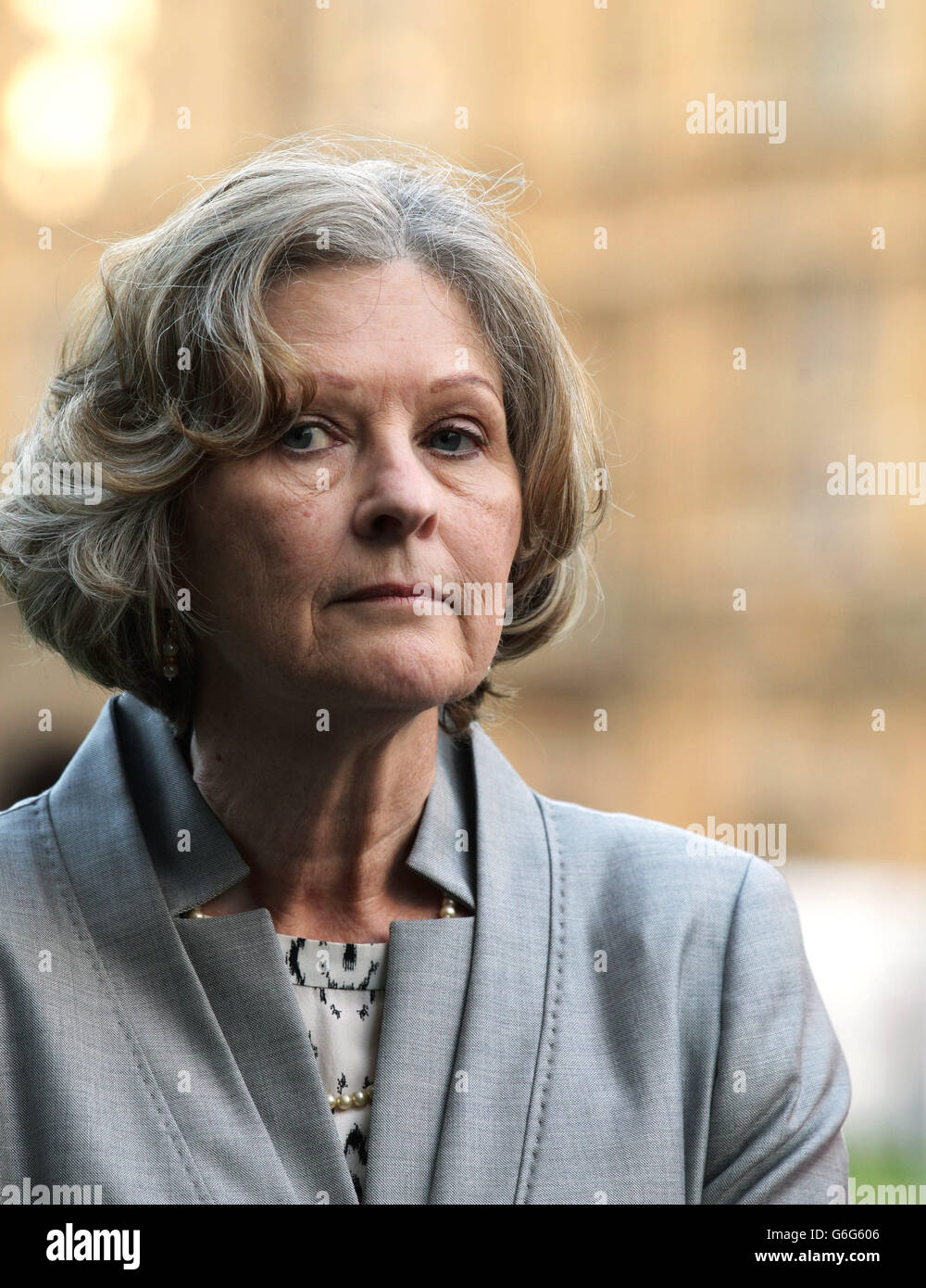 Baroness Sheila Hollins, who had told the Leveson Inquiry how she ...