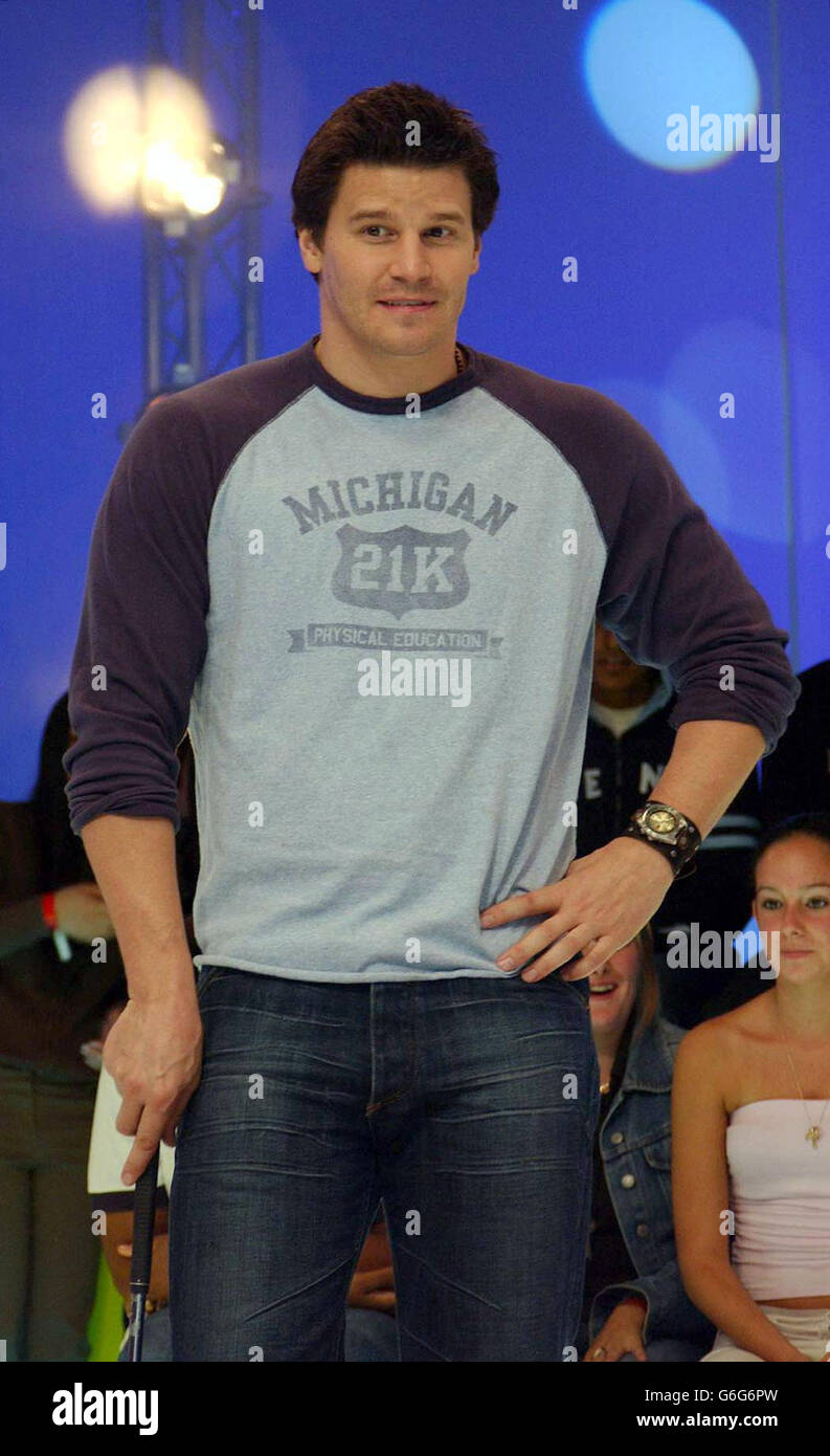 Actor David Boreanaz, star of Angel and Buffy the Vampire Slayer ...