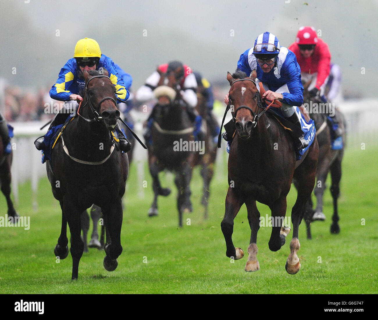 October finale coral sprint trophy hi-res stock photography and images ...