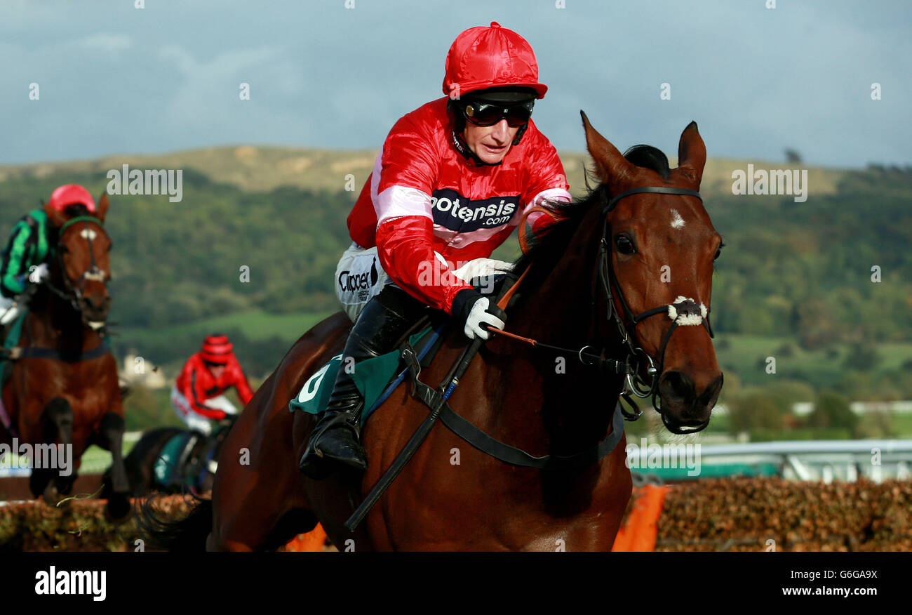 Daryl jacob cheltenham hi-res stock photography and images - Alamy