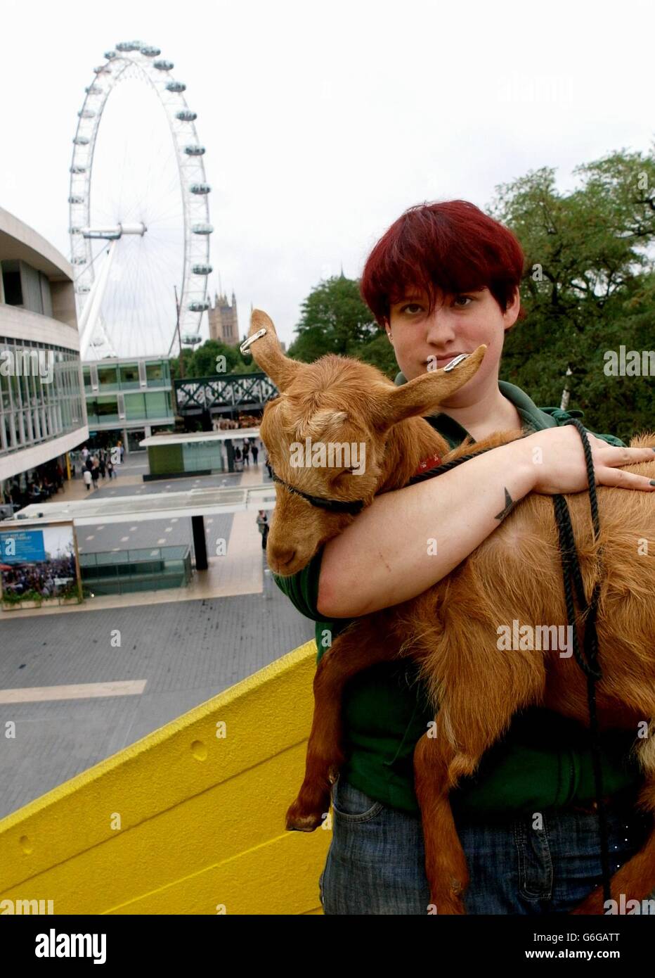 Michelle Frank the farmyard manager at Vauxhall City Farm, London ...