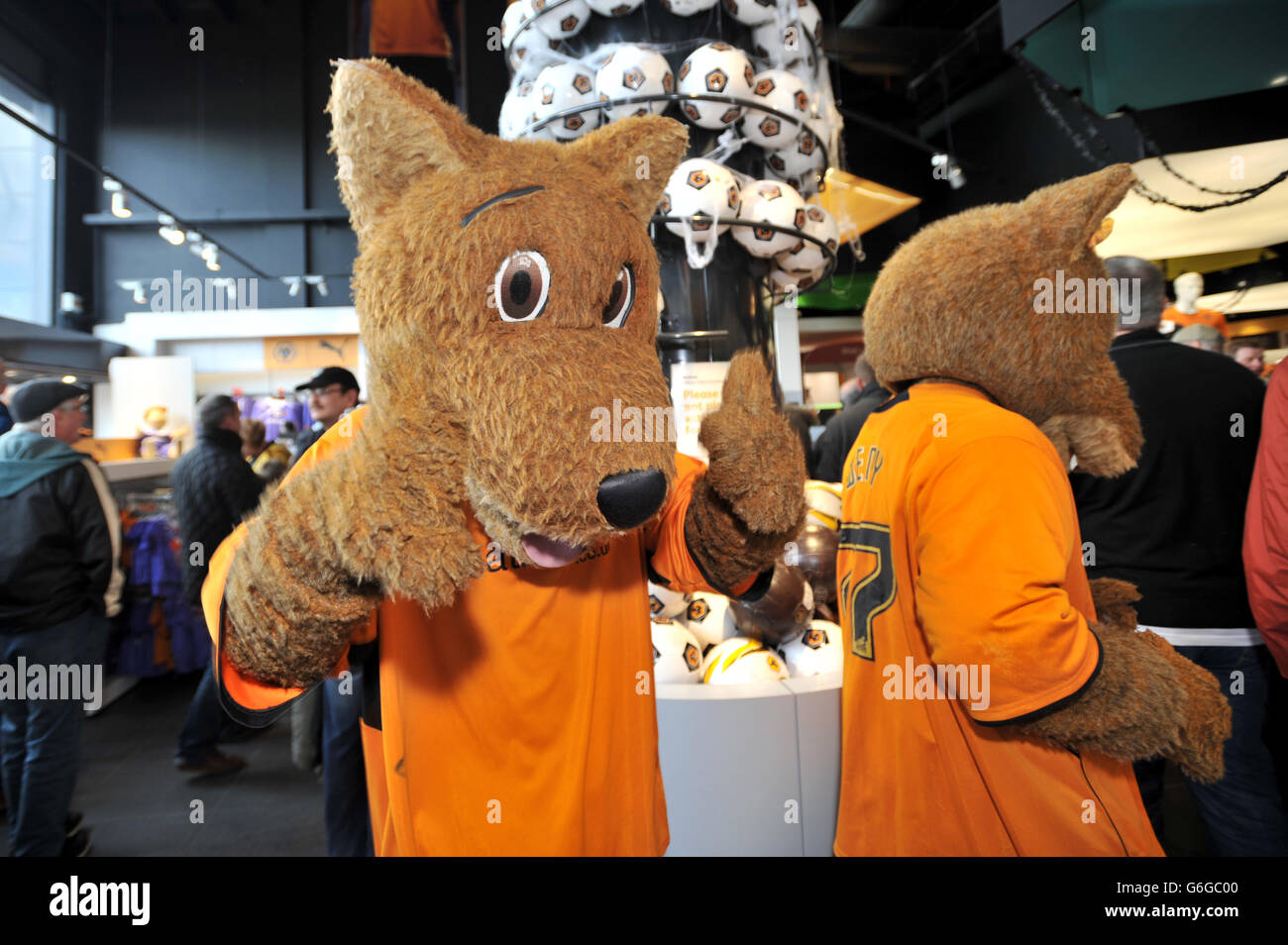 Wolverhampton wanderers mascots hi-res stock photography and images - Alamy