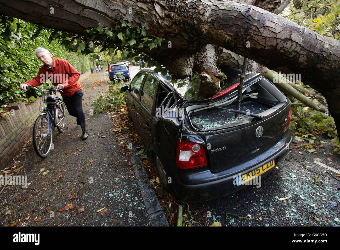 Car fallen tree hi-res stock photography and images - Alamy