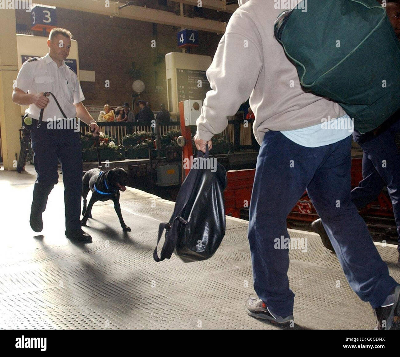HM Customs and Excise dog handler Rob Pike and his dog Jess check ...