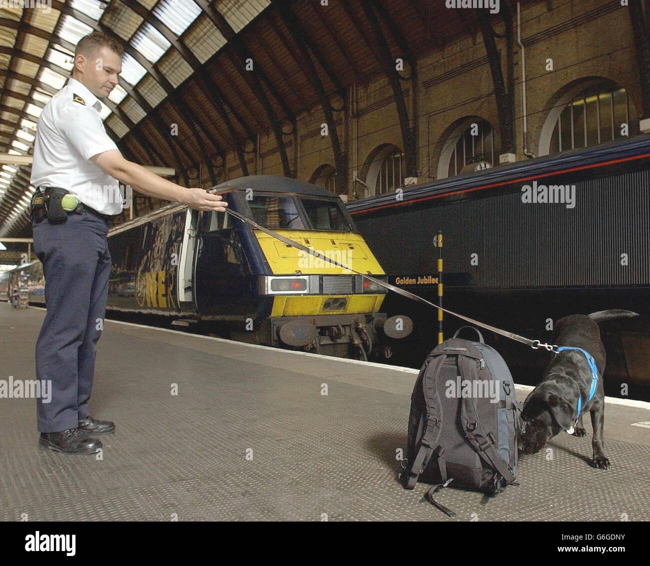 Police Sniffer Dogs Operation Payback Stock Photo - Alamy