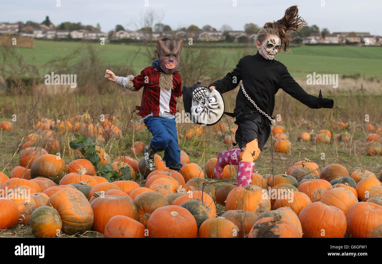 Callum (right) and Keira Richardson from Normanton run between pumpkins ...