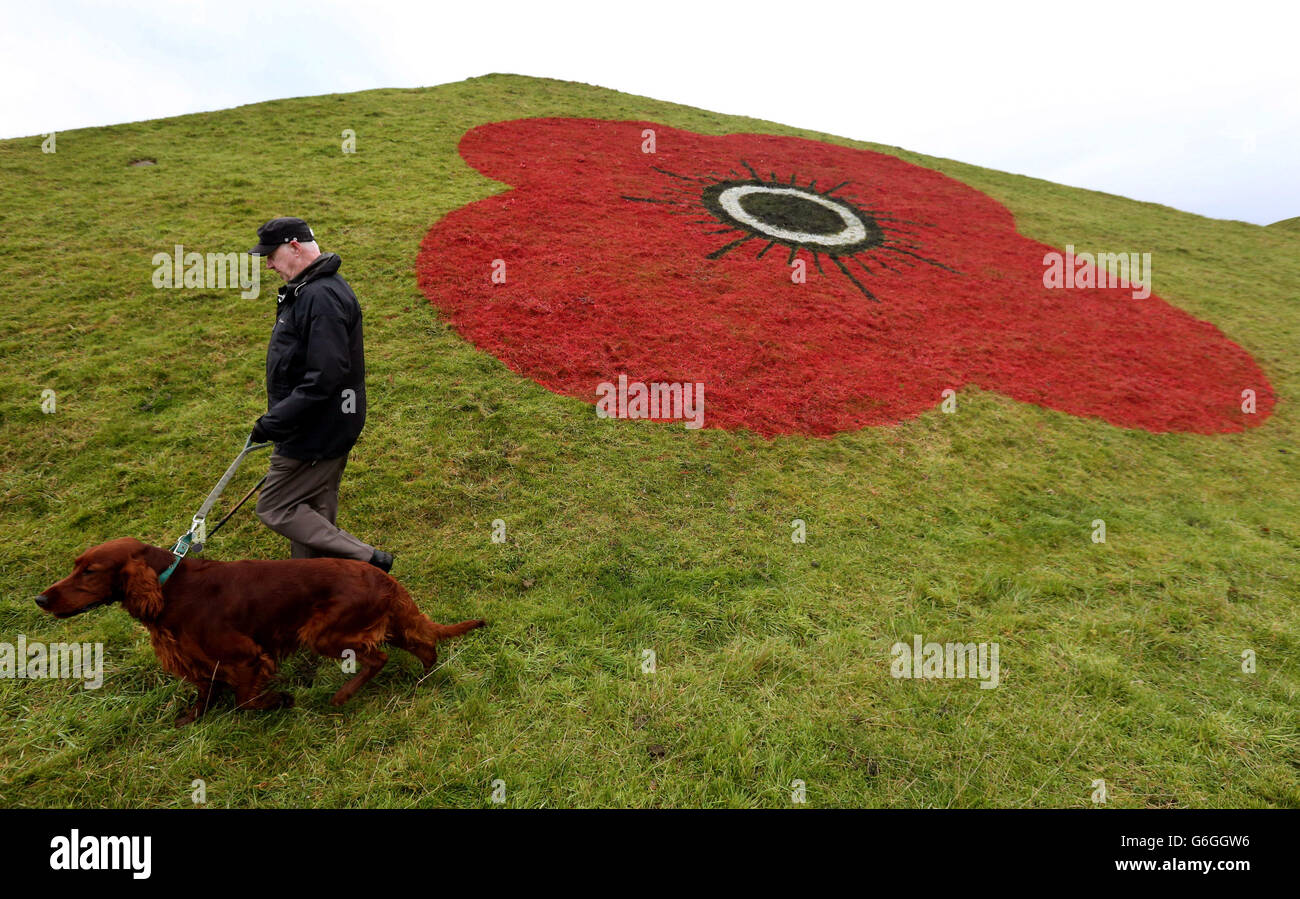 Giant Poppies High Resolution Stock Photography and Images - Alamy
