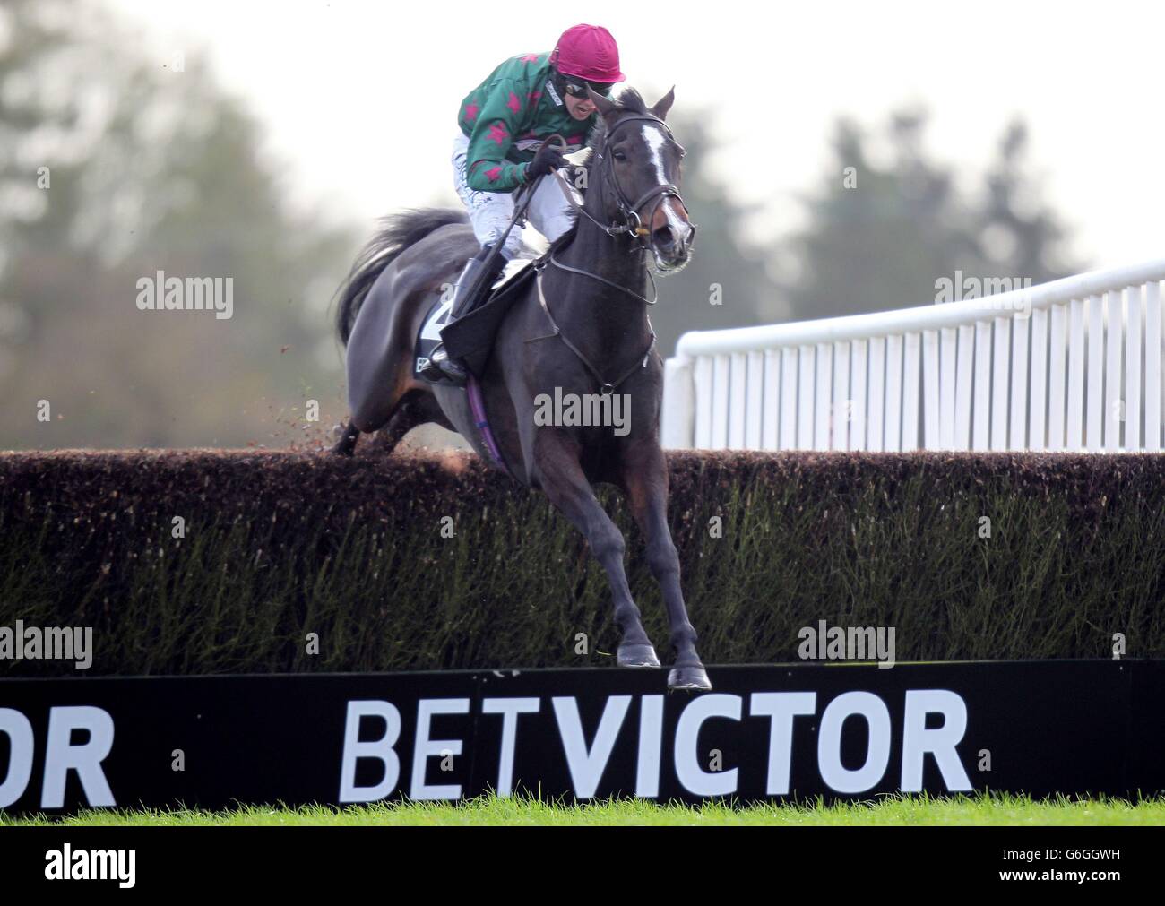 Dominic elsworth hi-res stock photography and images - Alamy