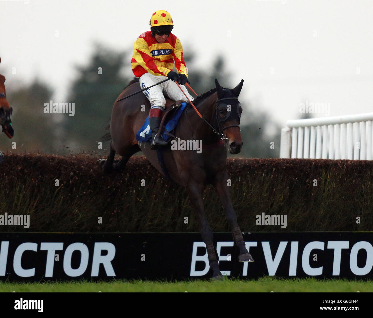 Williamson handicap chase at exeter racecourse hi-res stock photography ...