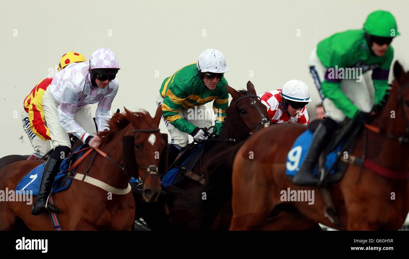 Horse Racing - Exeter Stock Photo - Alamy