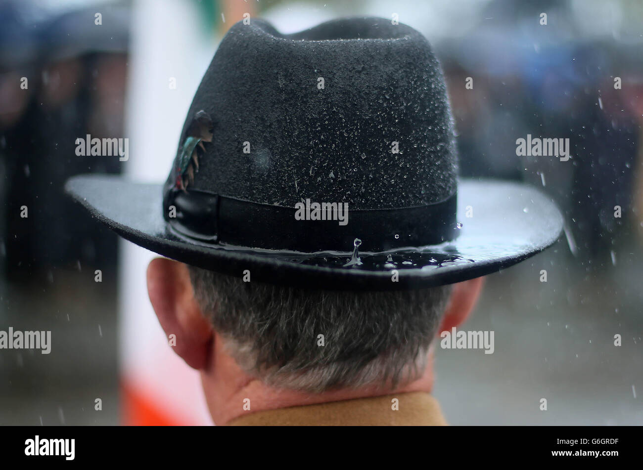 Annual Fianna Fail commemoration Stock Photo - Alamy
