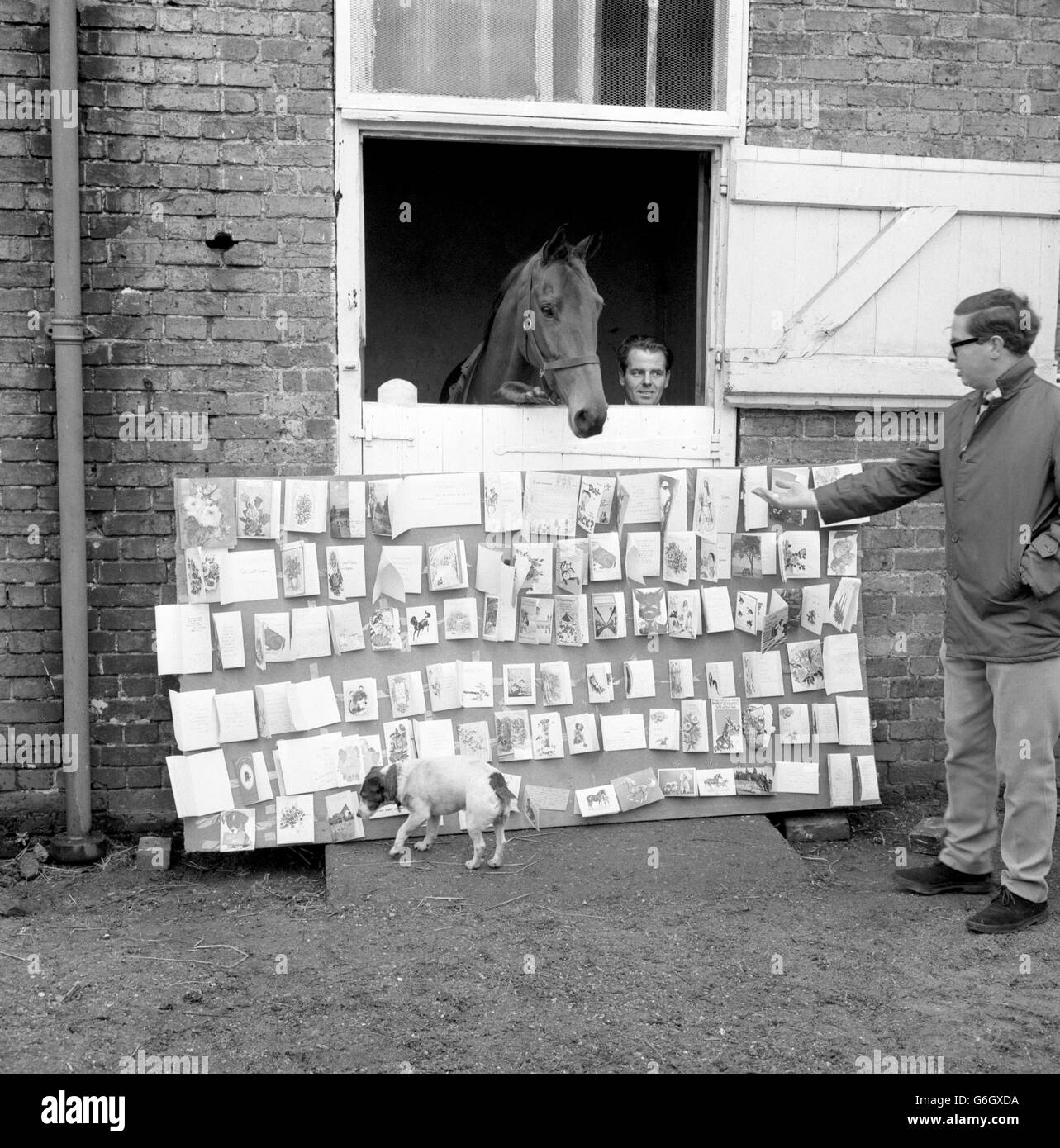 Injured following Black and White Stock Photos & Images - Alamy