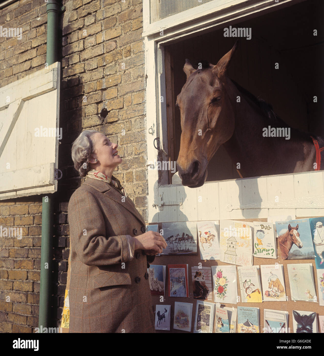 Arkle horse hi-res stock photography and images - Alamy