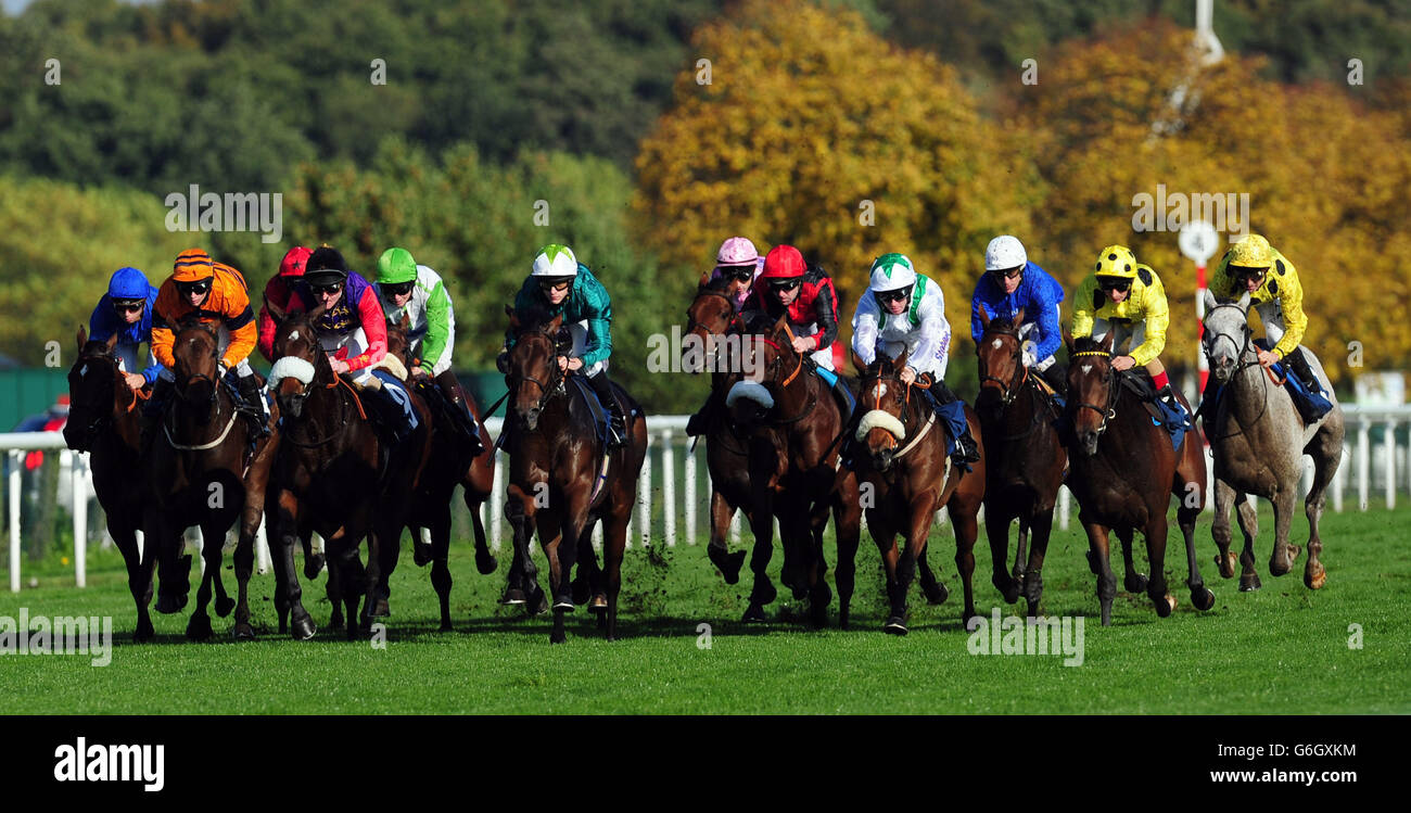 The racing post trophy at doncaster hi-res stock photography and images ...