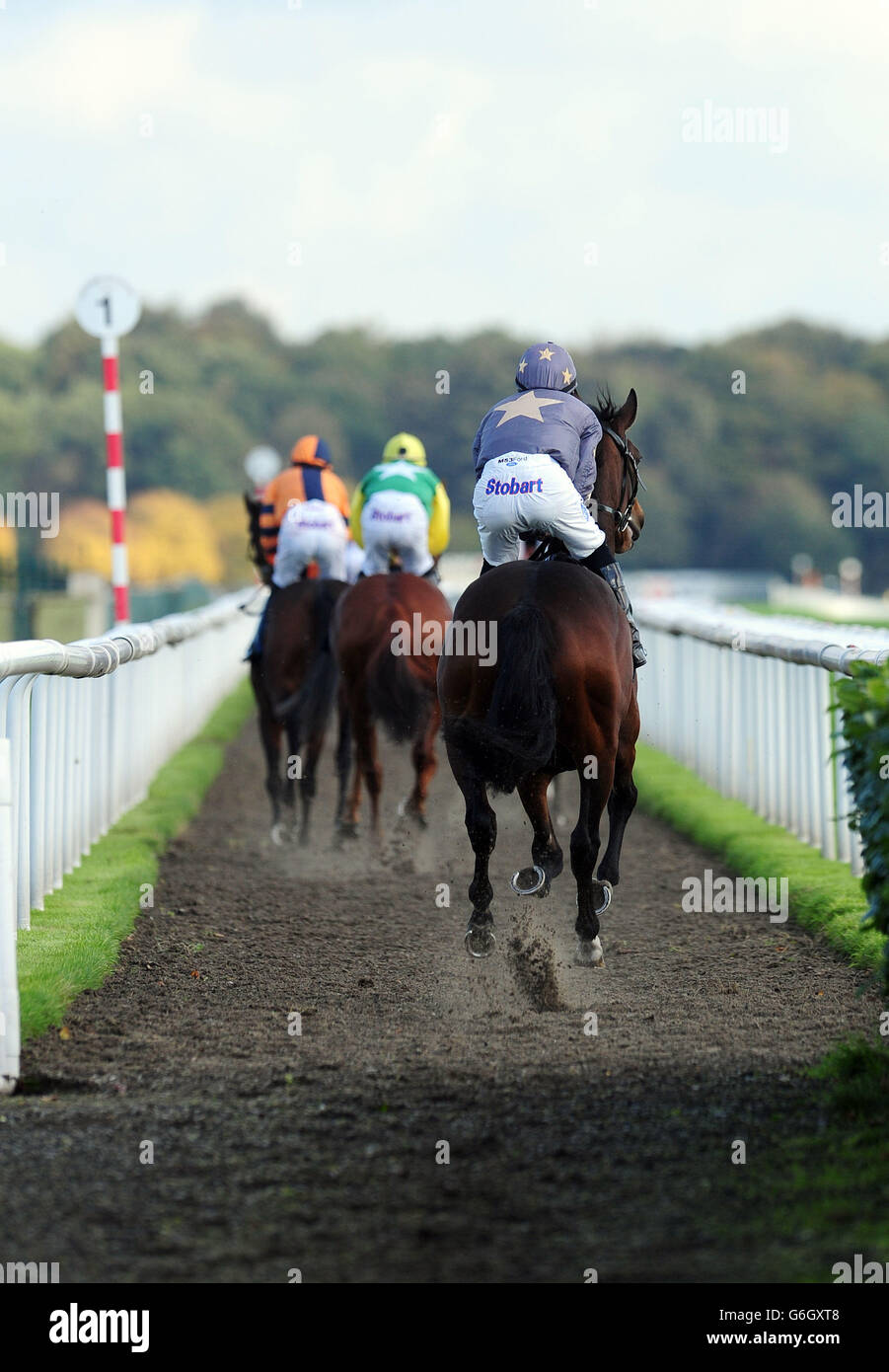 Horses make their way to post during Racing Post Trophy Friday at ...