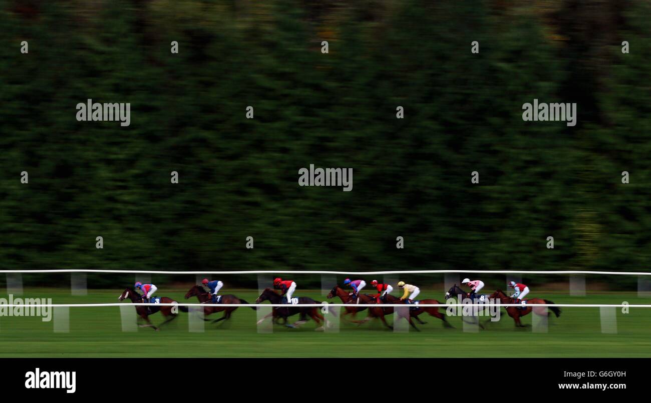 Runners start the back straight in the CSP "Hands And Heels" Apprentice ...