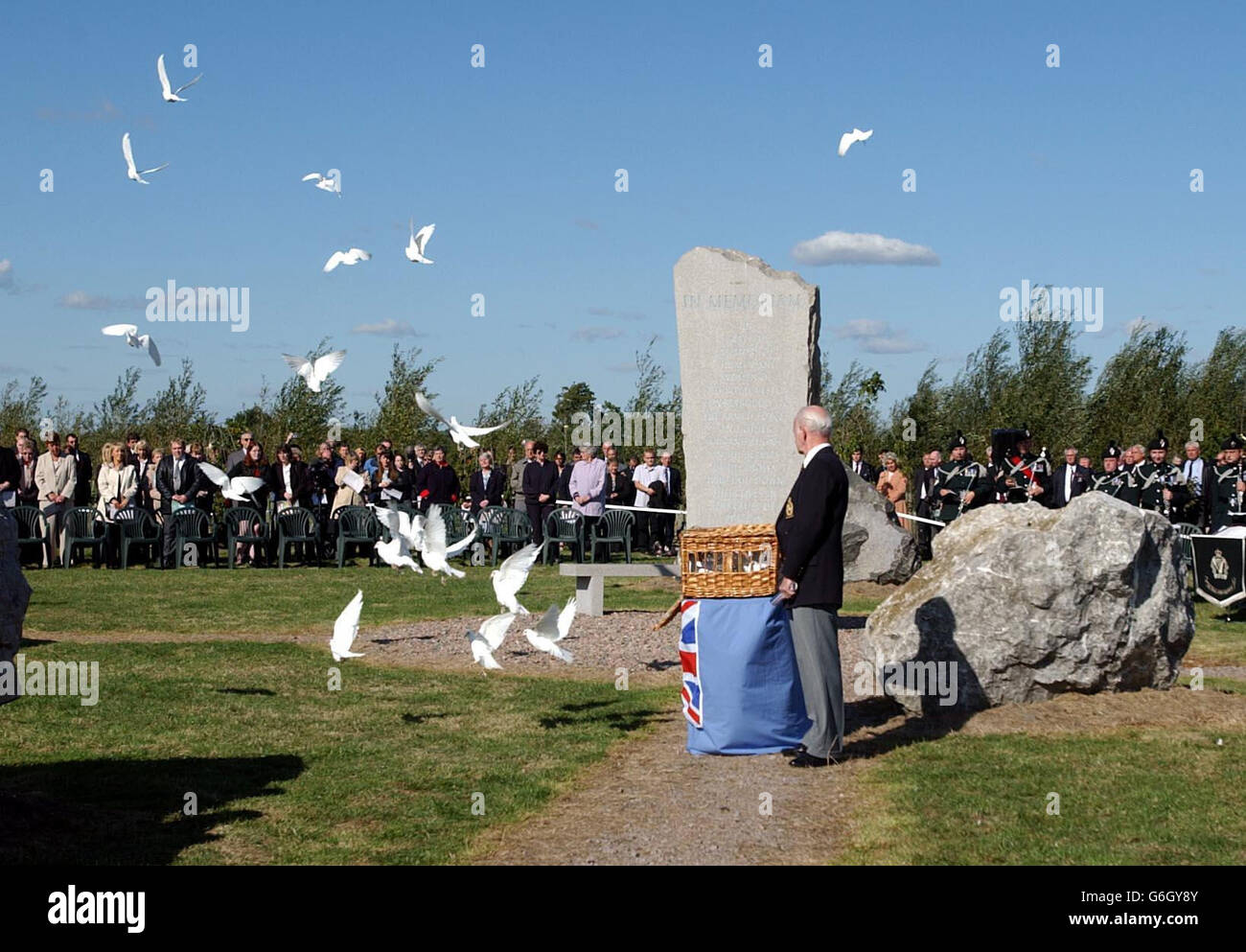 Ulster Ash Grove Stock Photo - Alamy