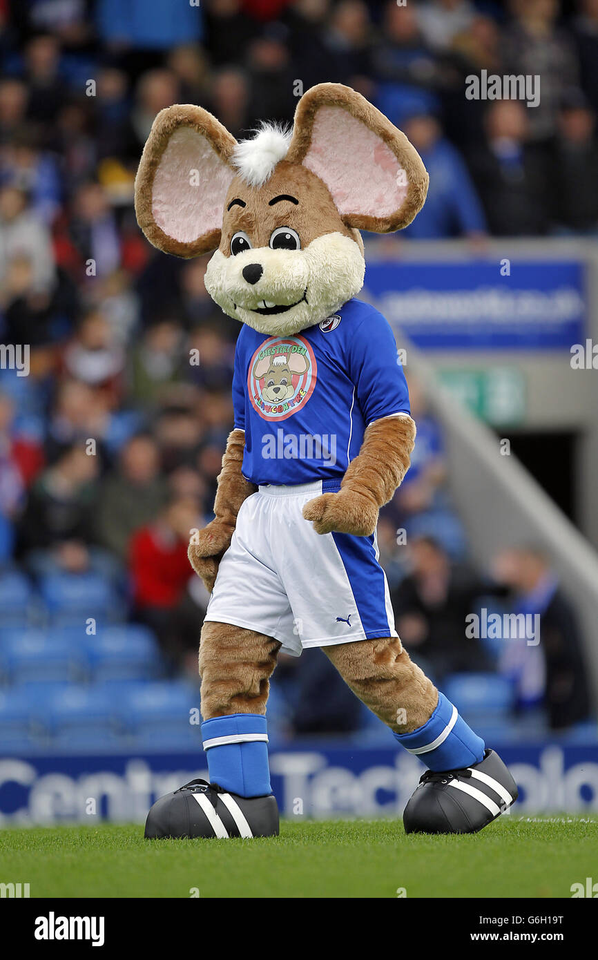 Chesterfield mascot hi-res stock photography and images - Alamy