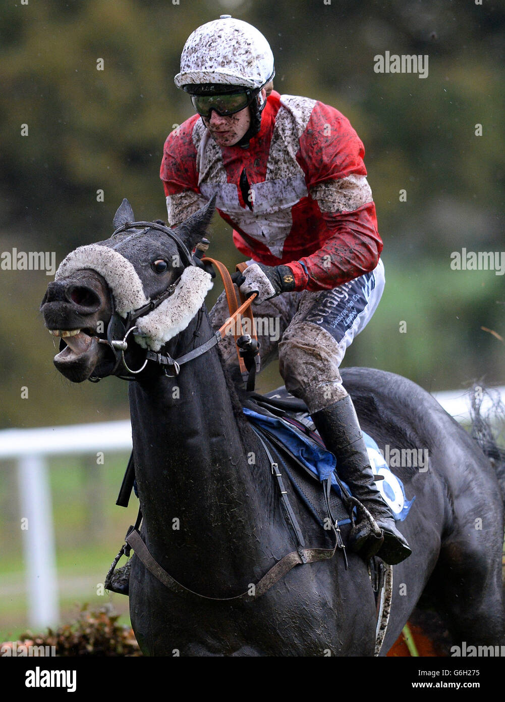 Horse racing wetherby racecourse hi-res stock photography and images ...
