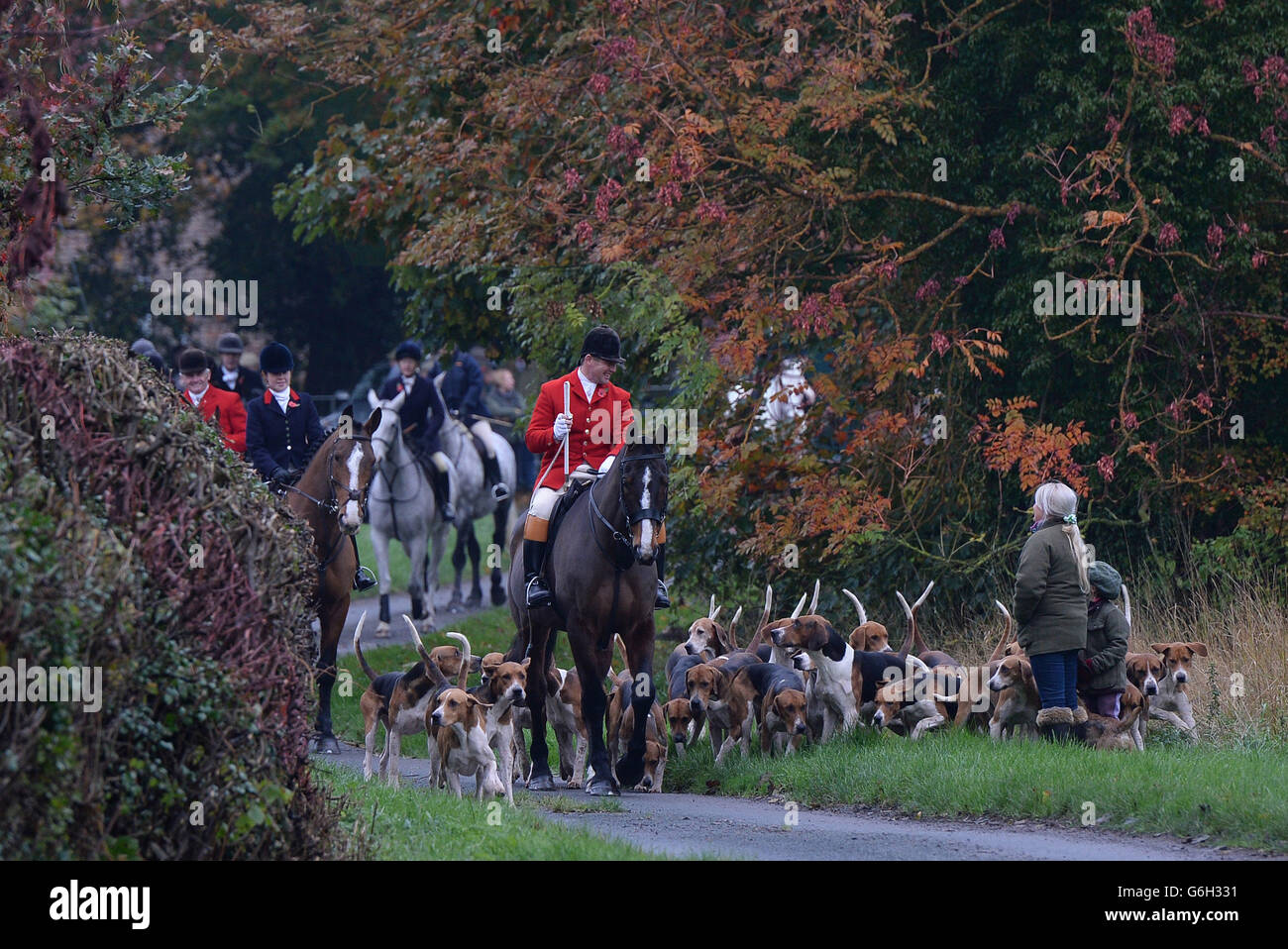 Huntsmen and hounds of the York and Ainsty South Hunt in the lanes ...
