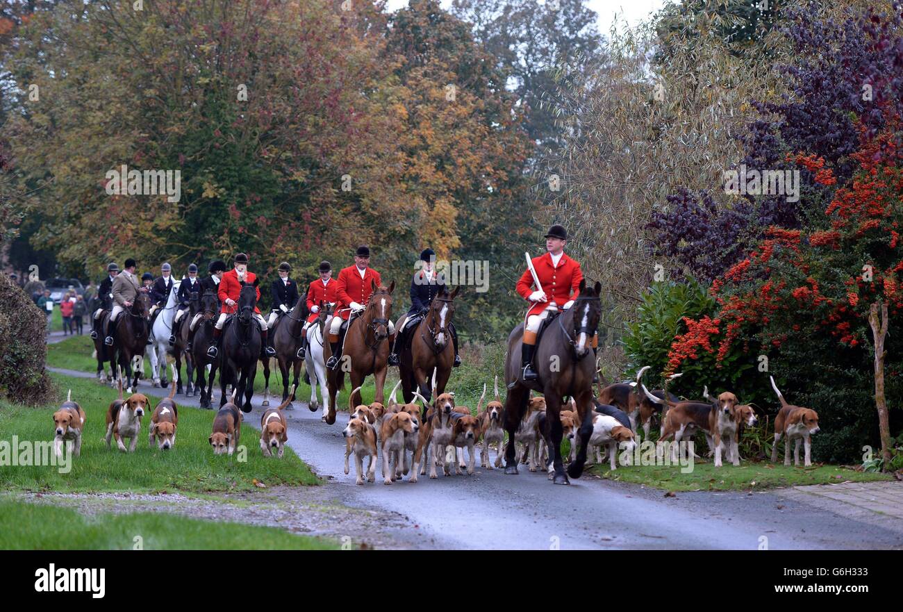 Huntsmen and hounds of the York and Ainsty South Hunt in the lanes ...