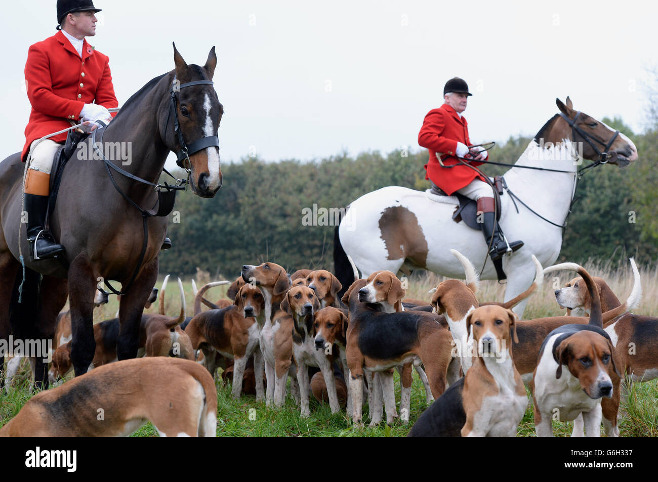 York and ainsty north hunt hi-res stock photography and images - Alamy